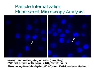 Nanostructured materials controlling biological processes | PPT