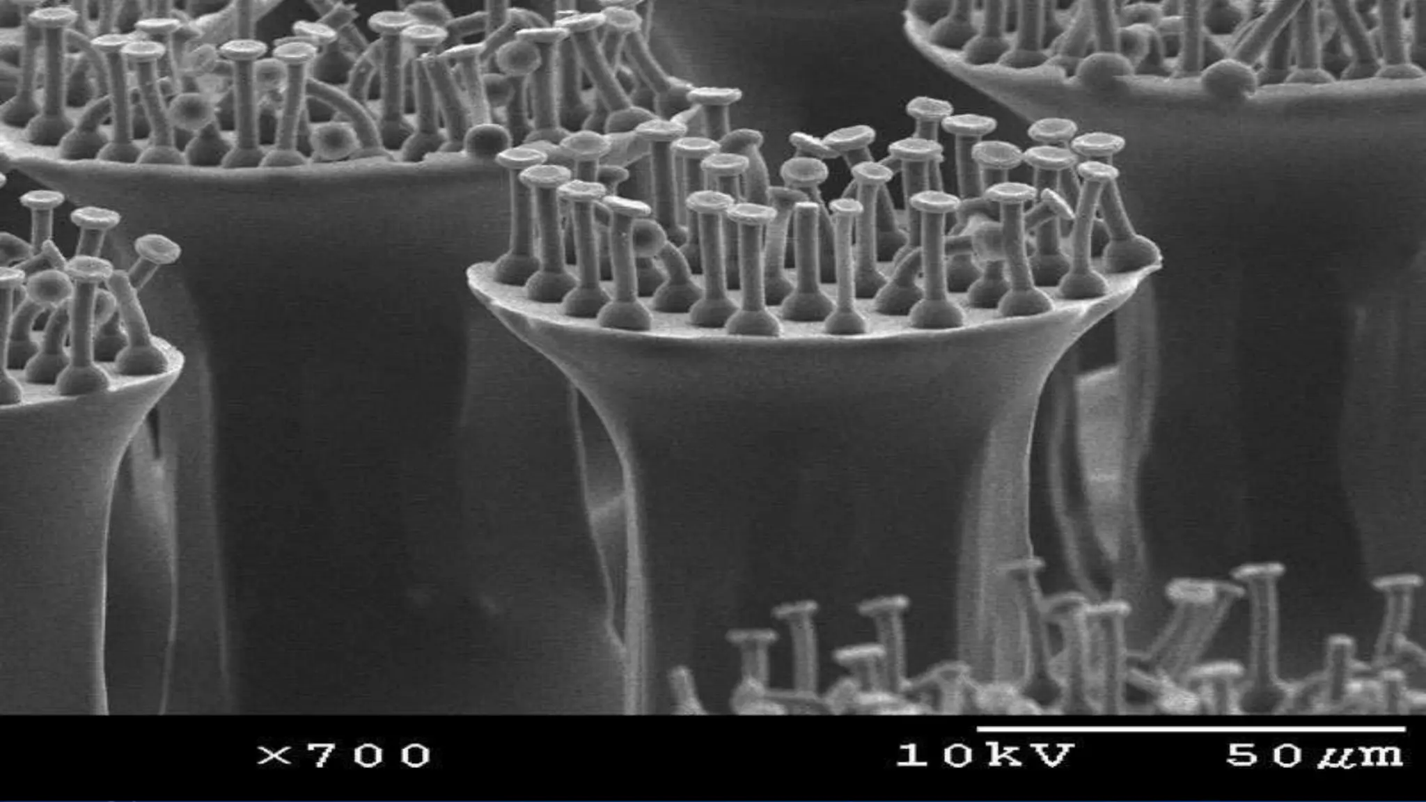 Nano structures.pptx