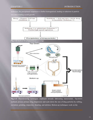 Nanosuspension | PDF