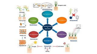 Nanotechnology and it's applications in crop improvement | PPTX