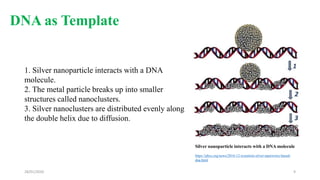 Silver nanowires | PPT