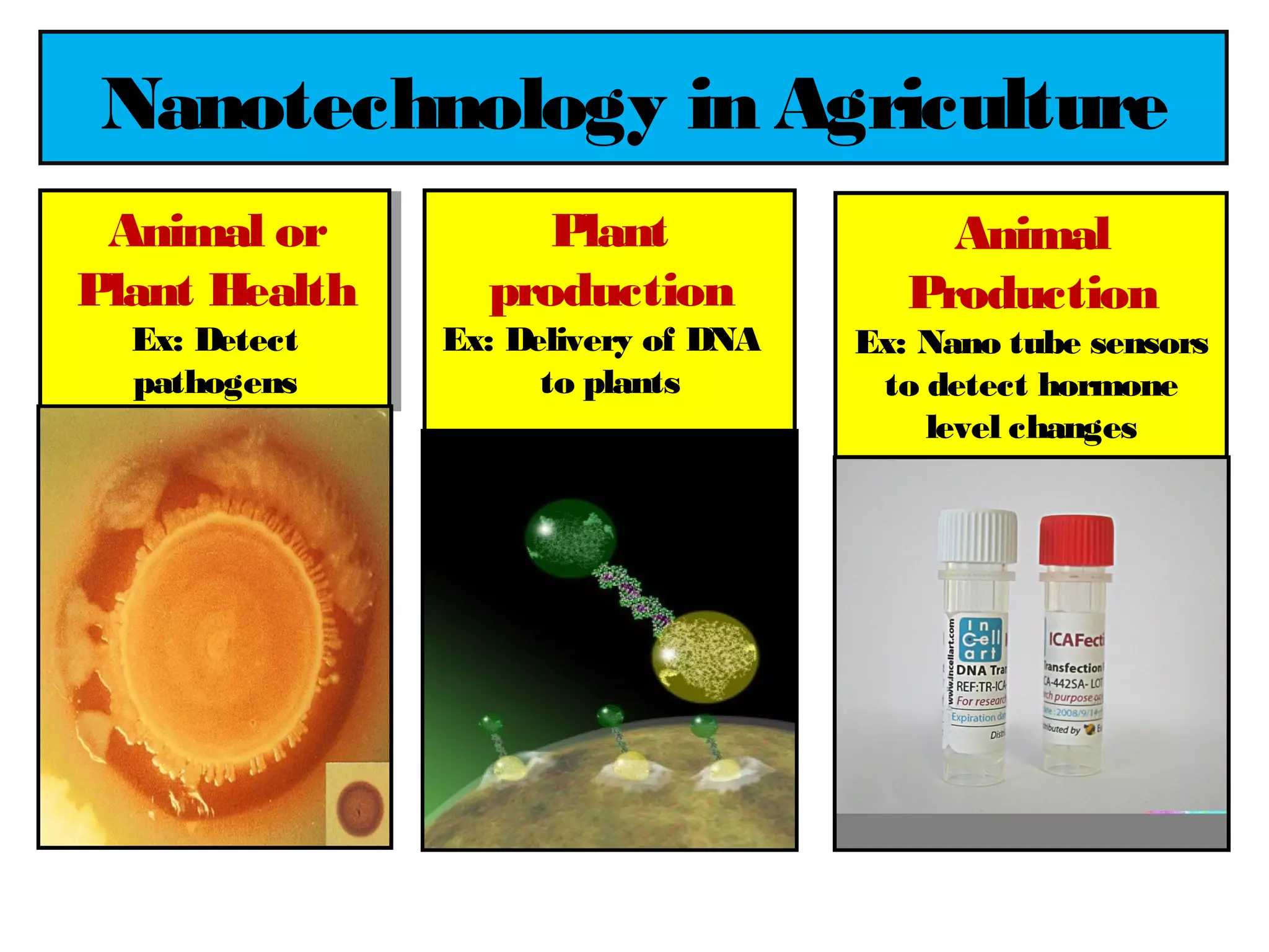 Nanotechnology: Basic introduction to the nanotechnology. | PPT