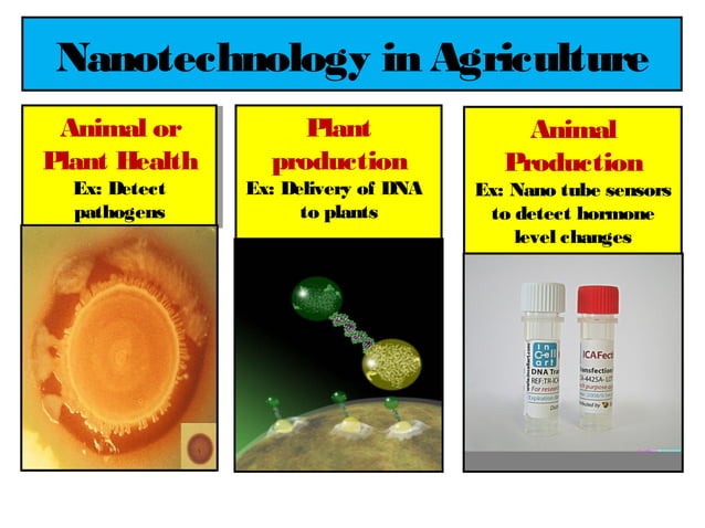 Nanotechnology: Basic introduction to the nanotechnology. | PPT ...