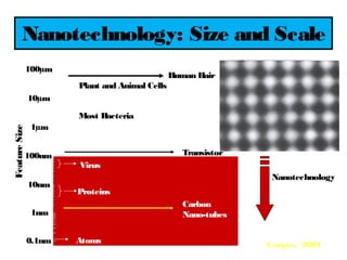 Nanotechnology: Basic introduction to the nanotechnology. | PPT