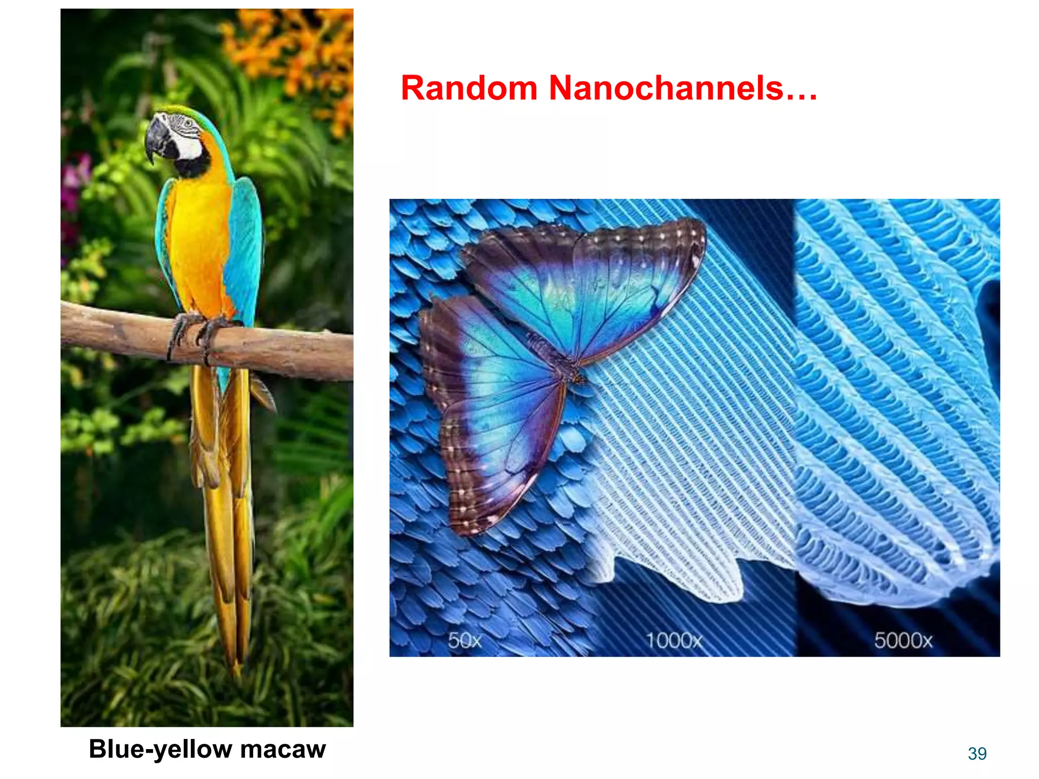 Nanotechnology chemistry of colours | PPT