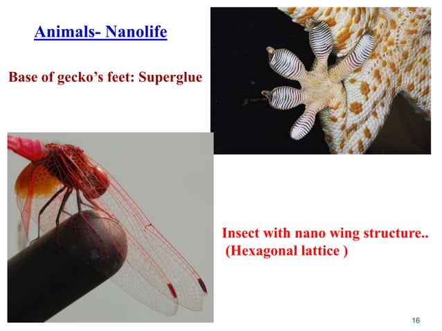 Nanotechnology chemistry of colours | PPT | Physics | Science