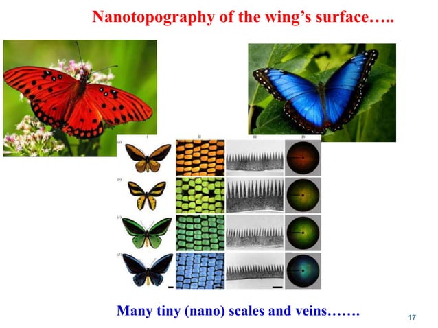 Nanotechnology chemistry of colours | PPT | Physics | Science