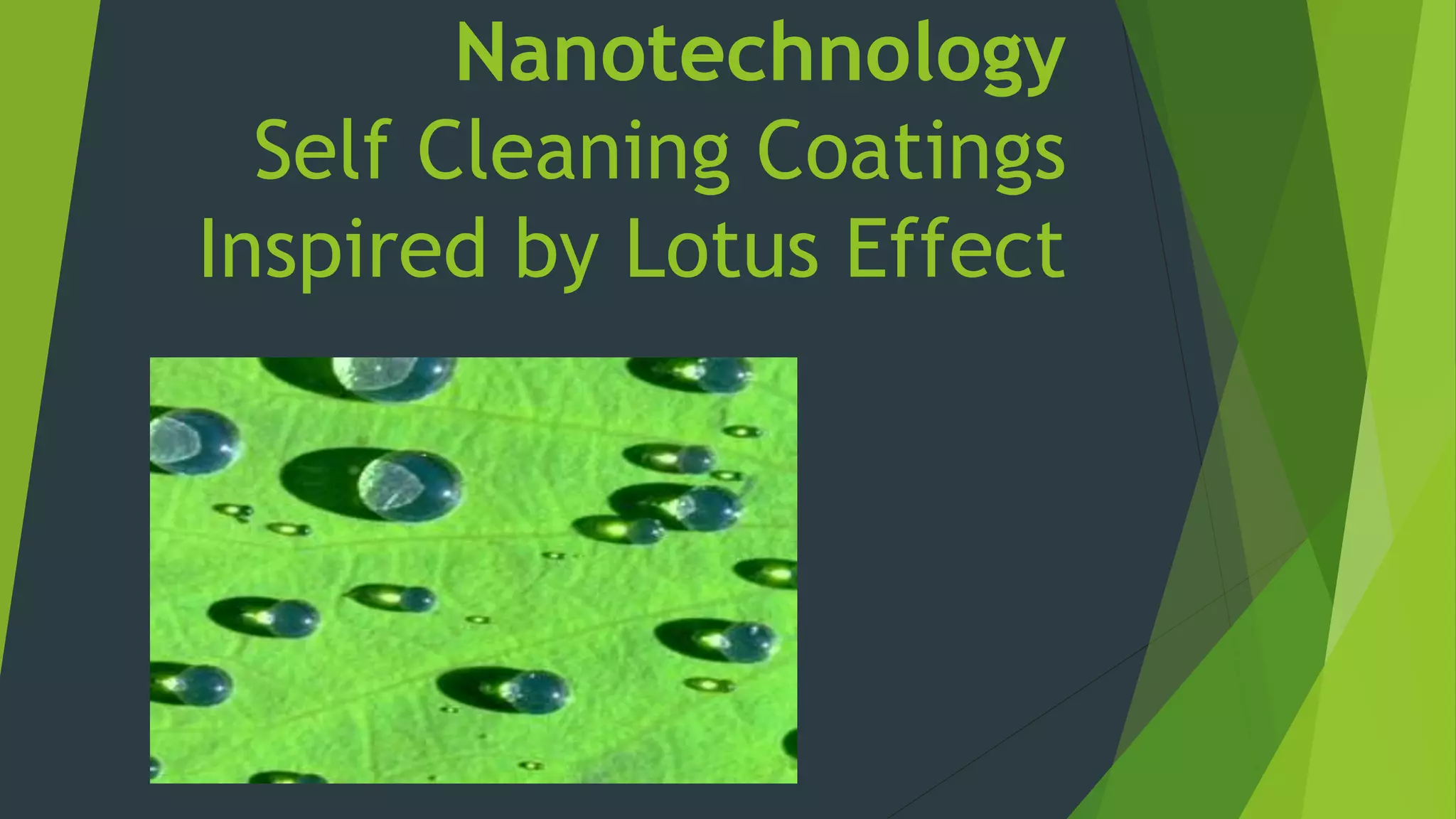 Lotus Effect in Nanotechnology | PPTX
