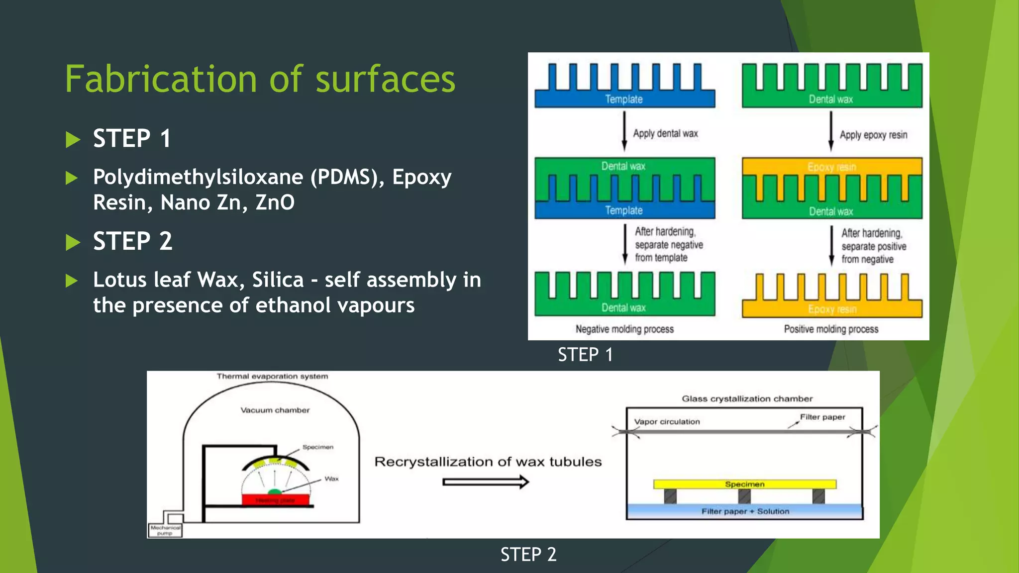 Lotus Effect in Nanotechnology | PPTX