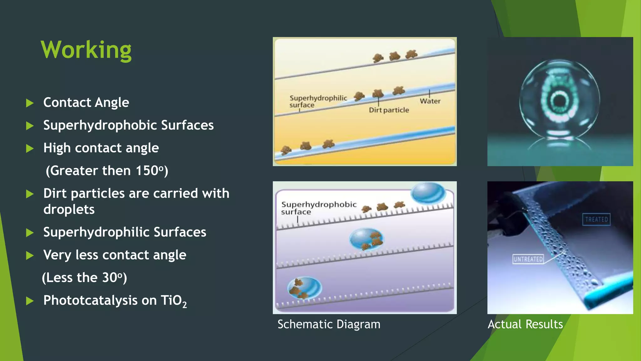 Lotus Effect in Nanotechnology | PPTX