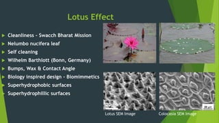Lotus Effect in Nanotechnology | PPTX