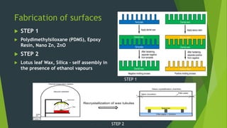Lotus Effect in Nanotechnology | PPTX