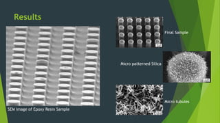Lotus Effect in Nanotechnology | PPTX