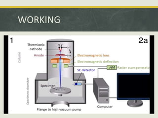 electron scattering,SEM,TEM,tunnel effect and lenses | PPT