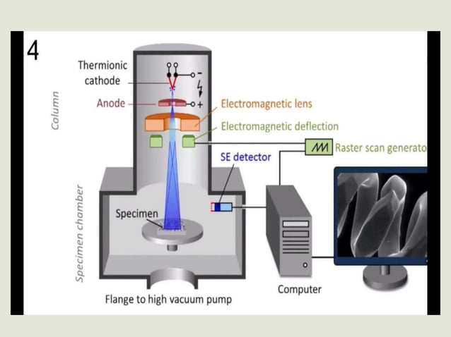 electron scattering,SEM,TEM,tunnel effect and lenses | PPT