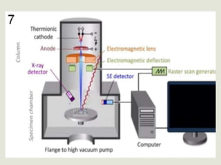 electron scattering,SEM,TEM,tunnel effect and lenses | PPTX