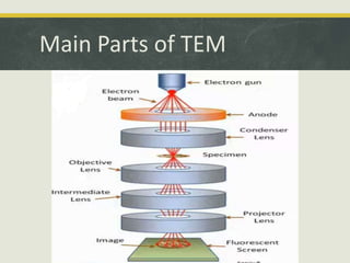 electron scattering,SEM,TEM,tunnel effect and lenses | PPT