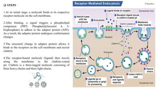 Nanotechnology and Drug Delivery Principle.pptx