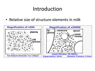 Nanotechnology Applications to Dairy Industry | PDF