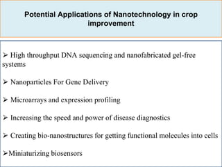 Nanotechnology BHU.pptx