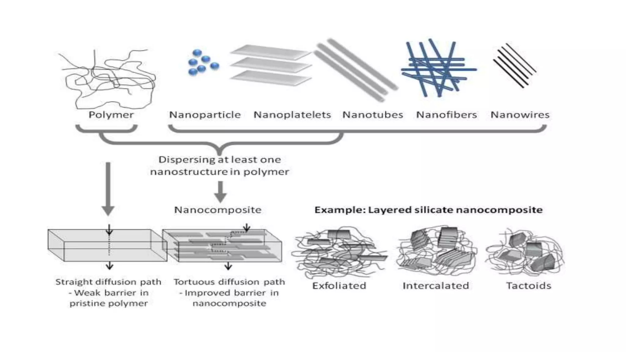 Nanotechnology development in food packaging.pptx