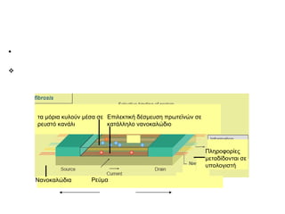 Εφαρμογές της Νανοτεχνολογίας στην Ιατρική | PPT