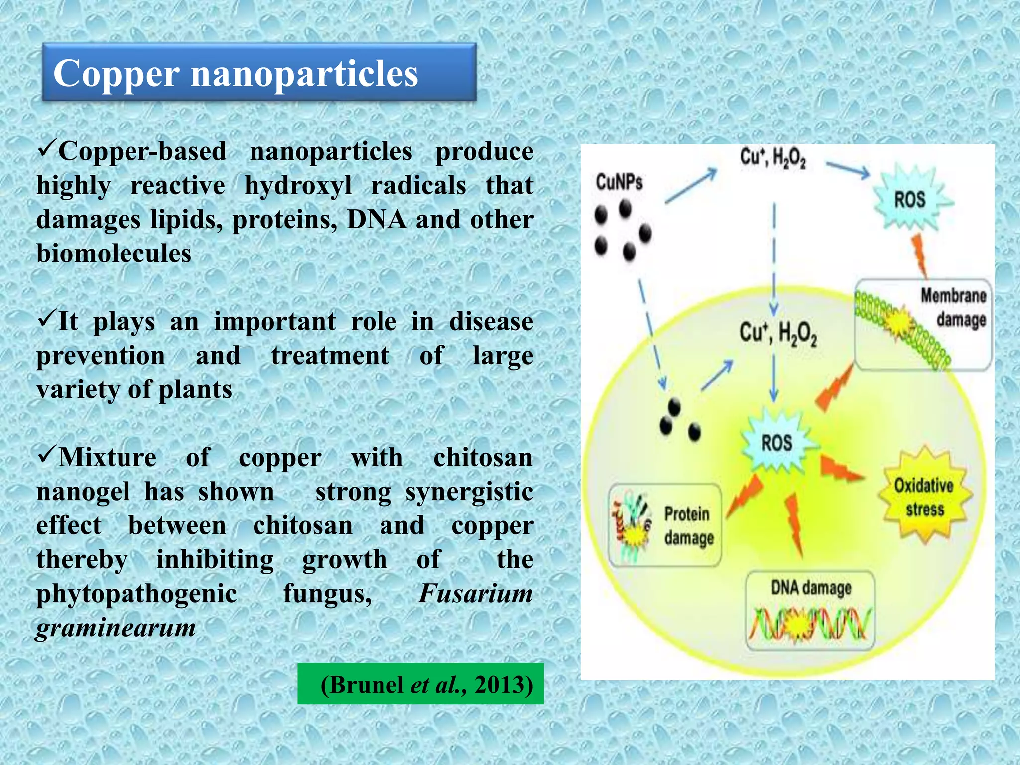 Nanotechnology for the improvement of vegetable crops | PPTX