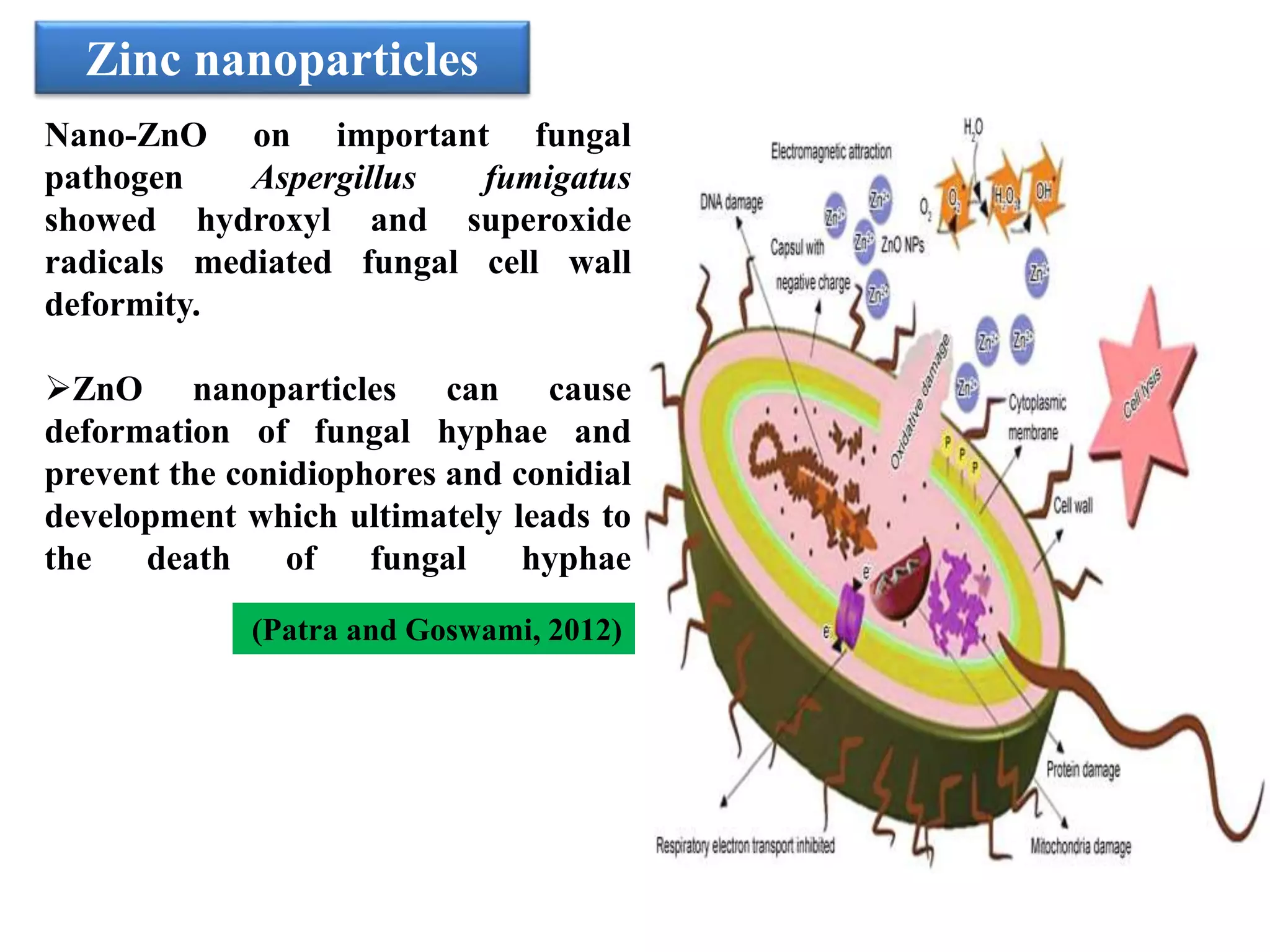 Nanotechnology for the improvement of vegetable crops | PPTX