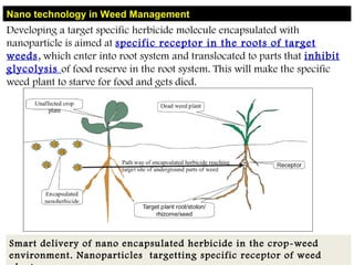 Nano Technology for UG students of Agriculture | PPT