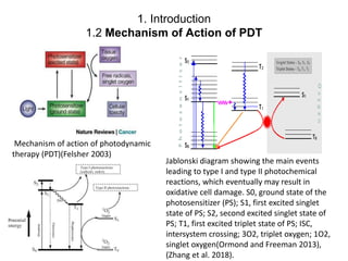 Nanotechnology implementation in photodynamic therapy ghada moneer | PPT