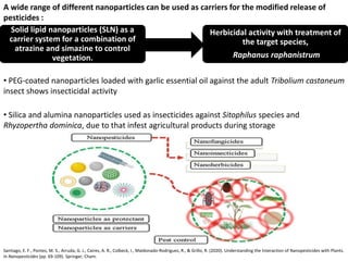 Nanotechnology in agriculture | PPTX