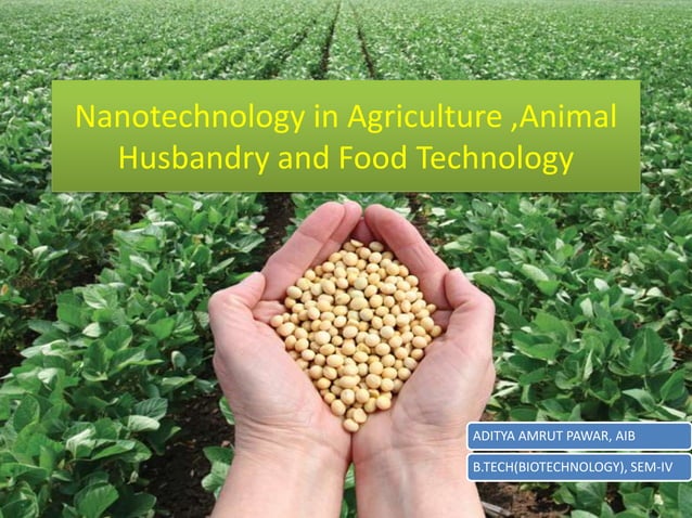 Nanotechnology in agriculture ,animal husbandry and food | PPTX | Agriculture | Industries