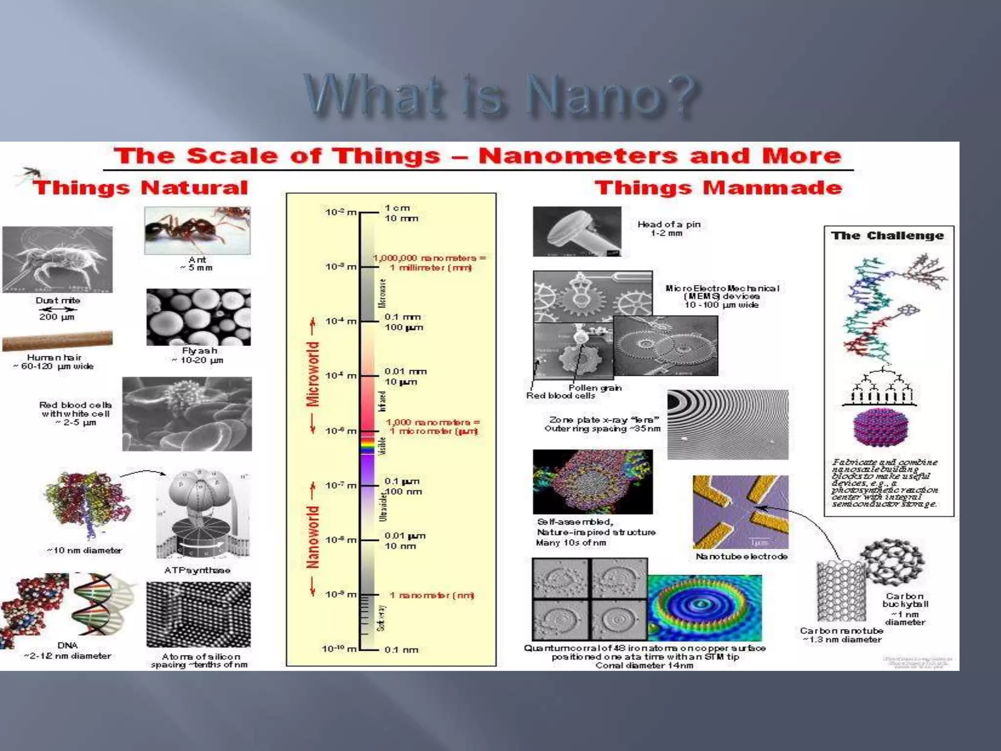 Nanotechnology in biological applications | PPTX