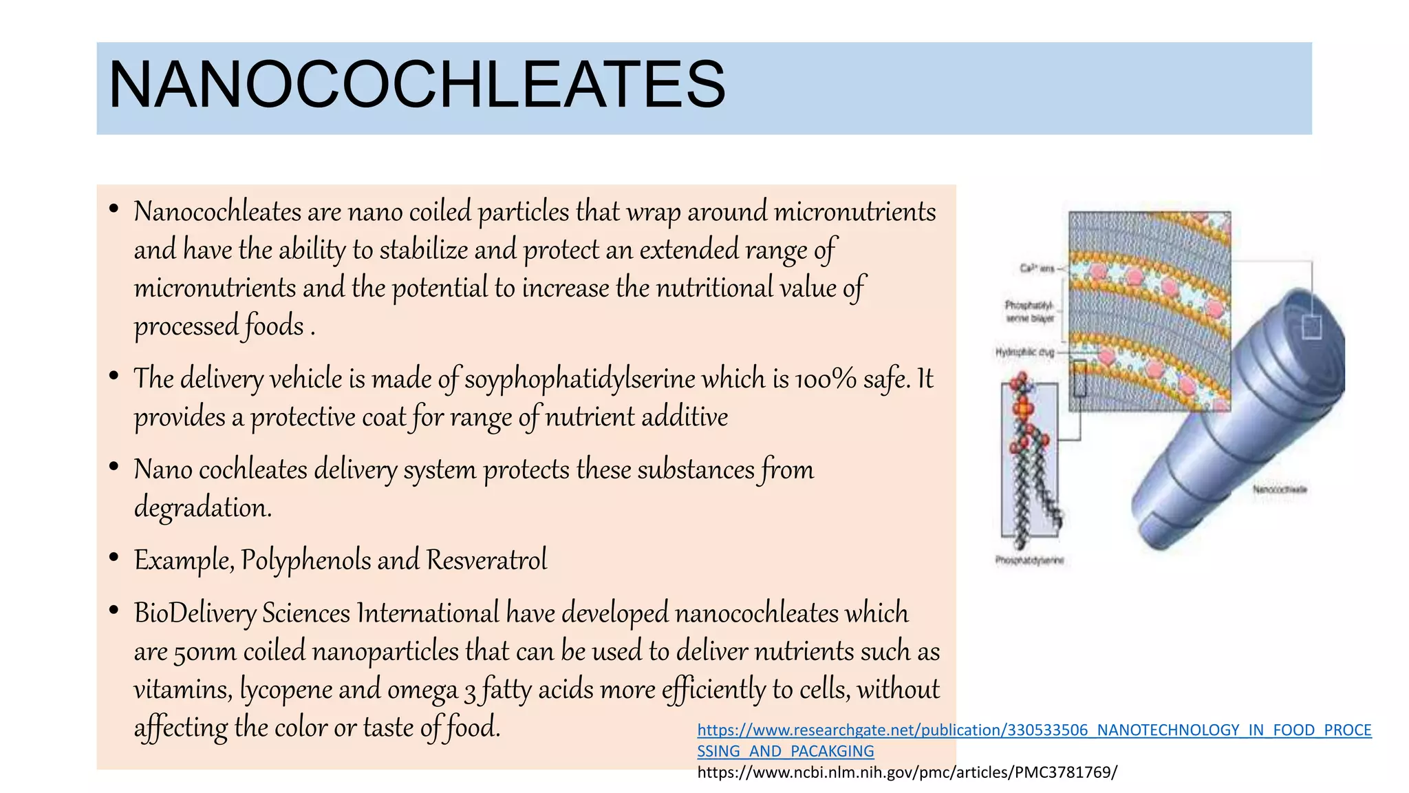 Nanotechnology in food industry | PPTX