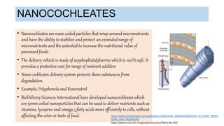 Nanotechnology in food industry | PPTX