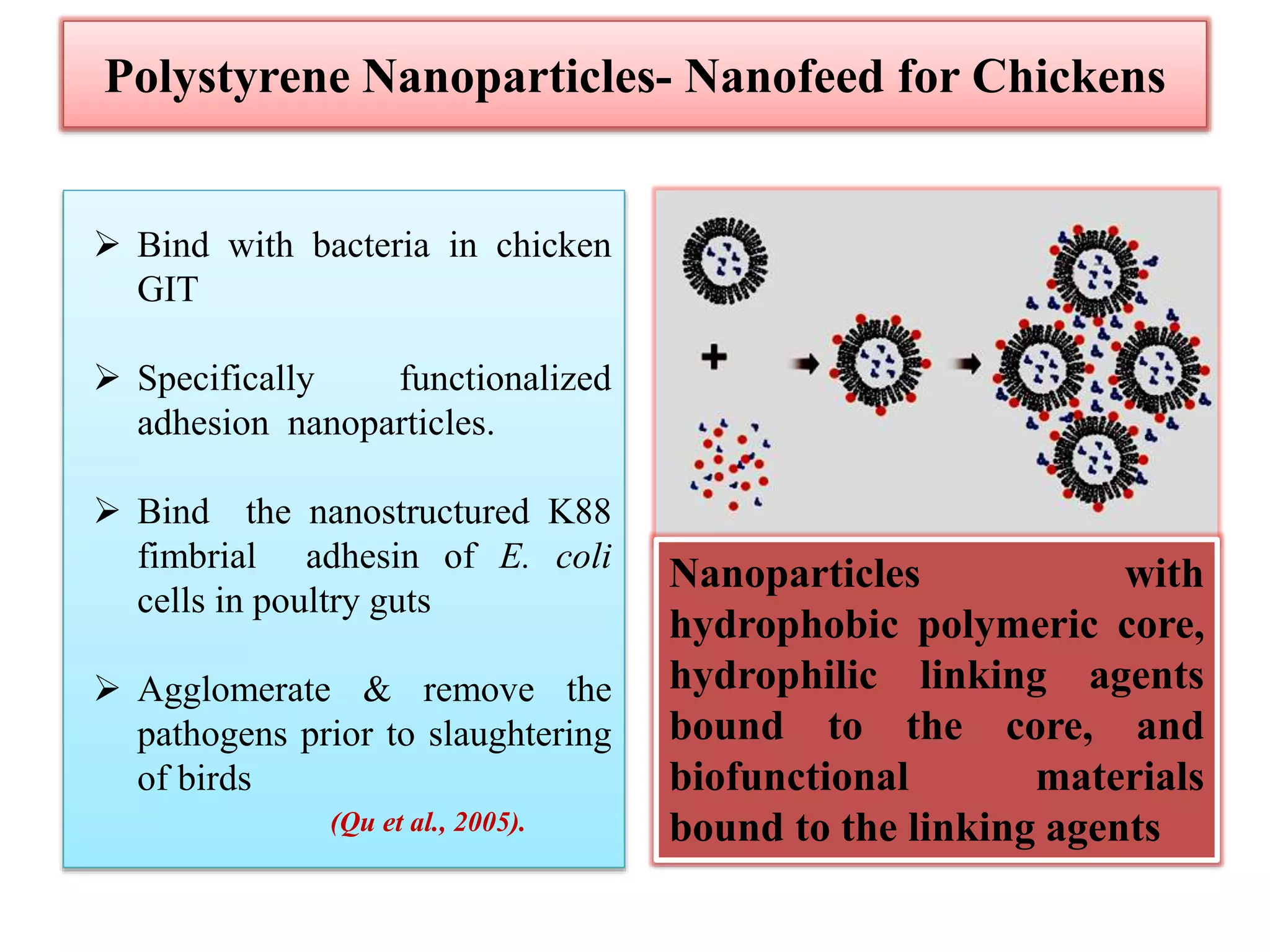 NANOTECHNOLOGY IN FOOD INDUSTRY.pptx