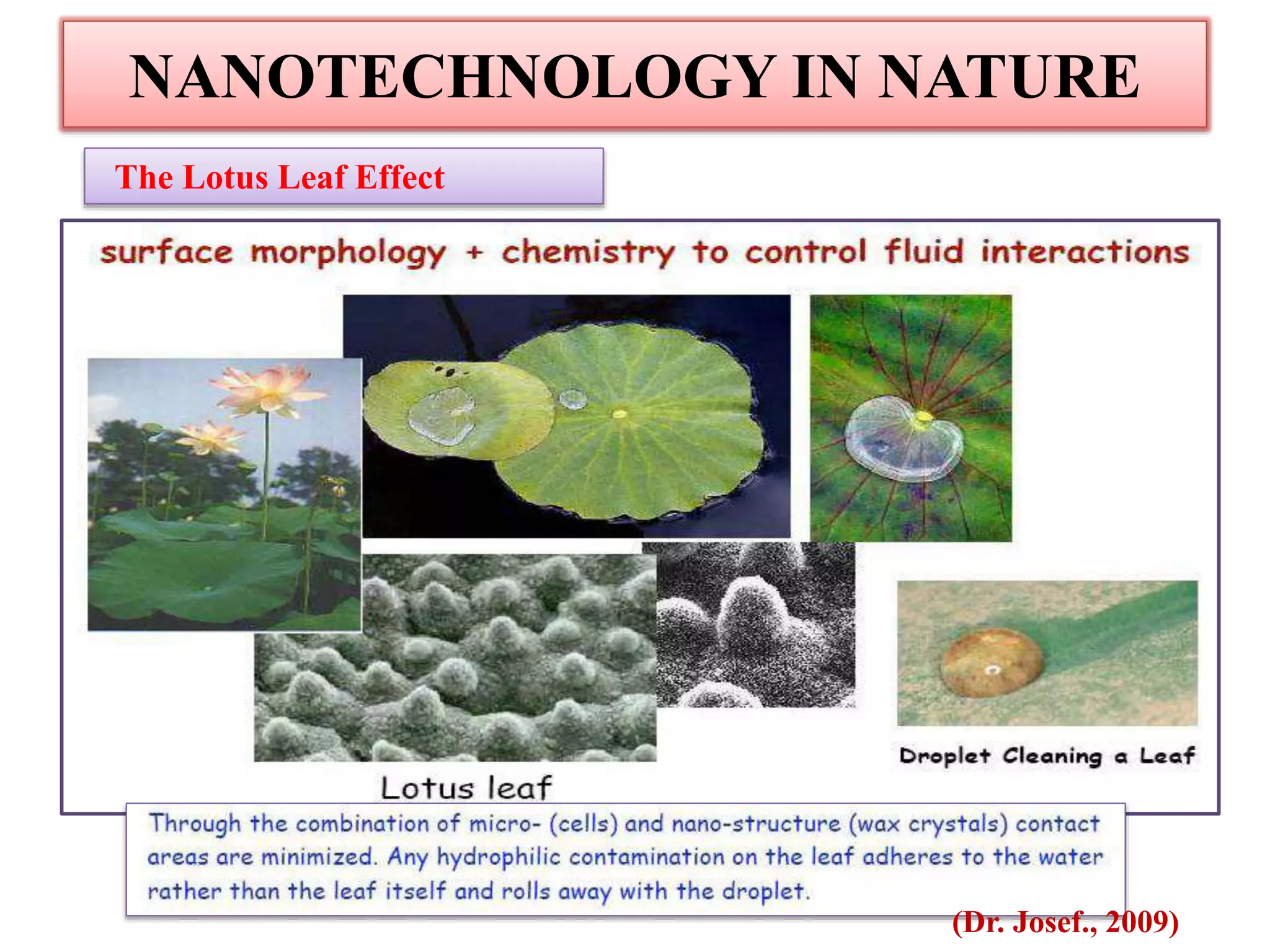 NANOTECHNOLOGY IN FOOD INDUSTRY.pptx