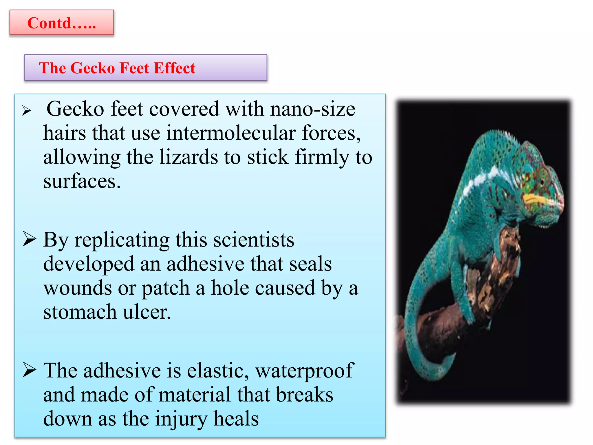 NANOTECHNOLOGY IN FOOD INDUSTRY.pptx