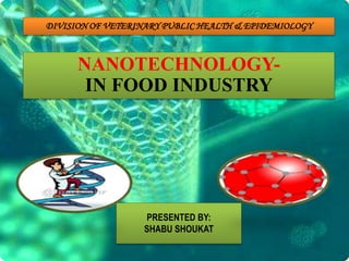 Nanotechnology In Food Products