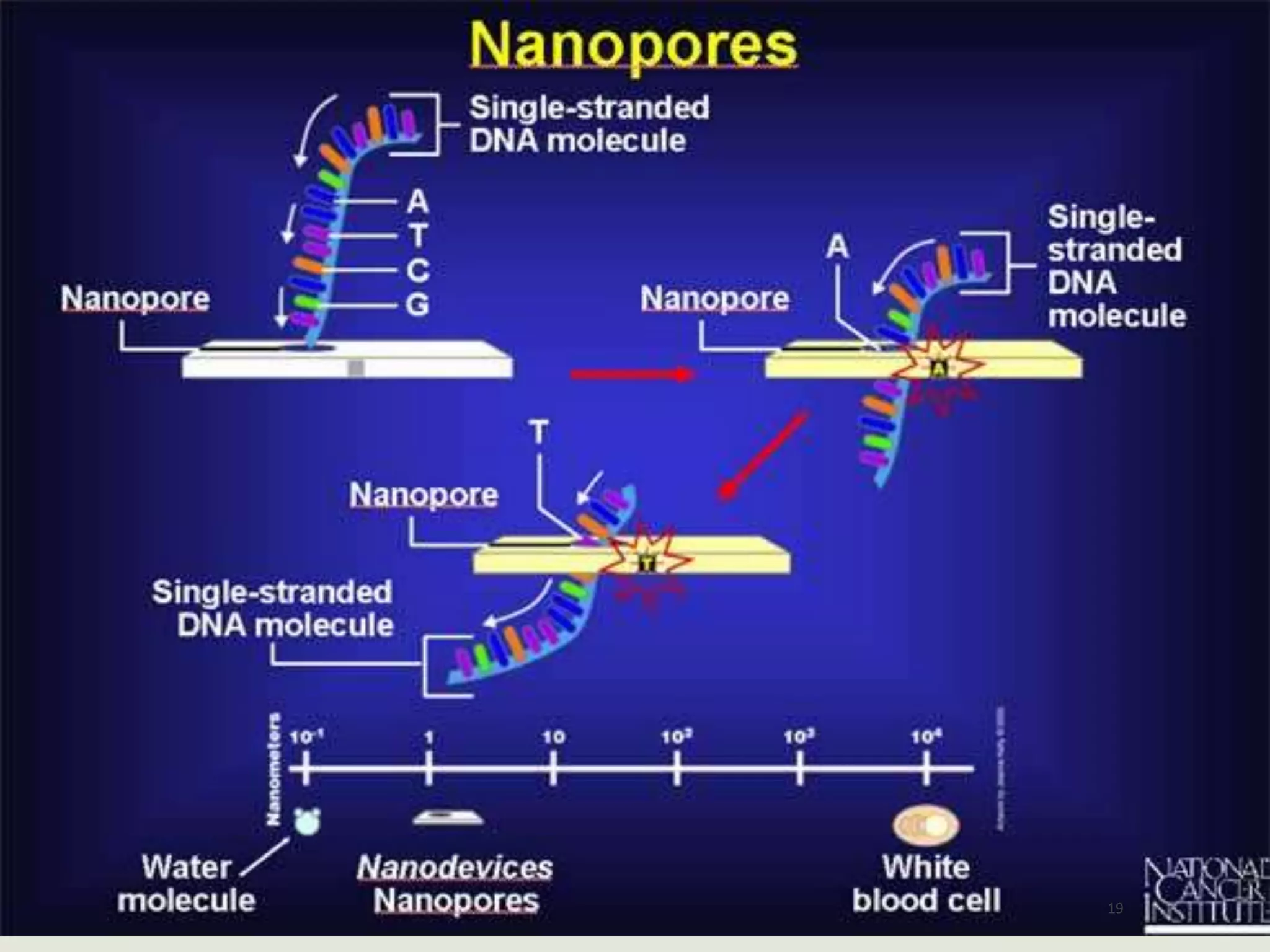 Nanotechnology in diagnostic Pathology | PPTX