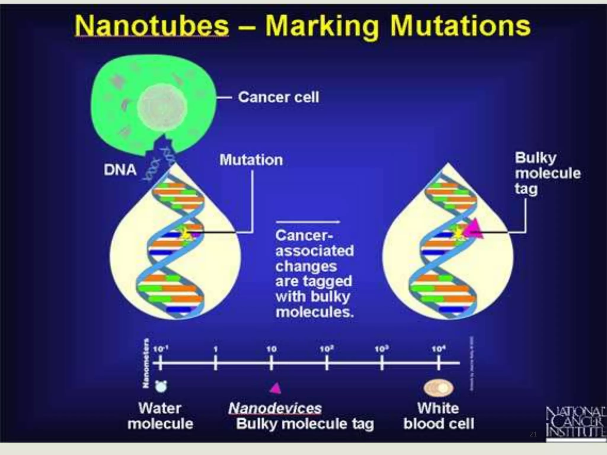 Nanotechnology in diagnostic Pathology | PPTX