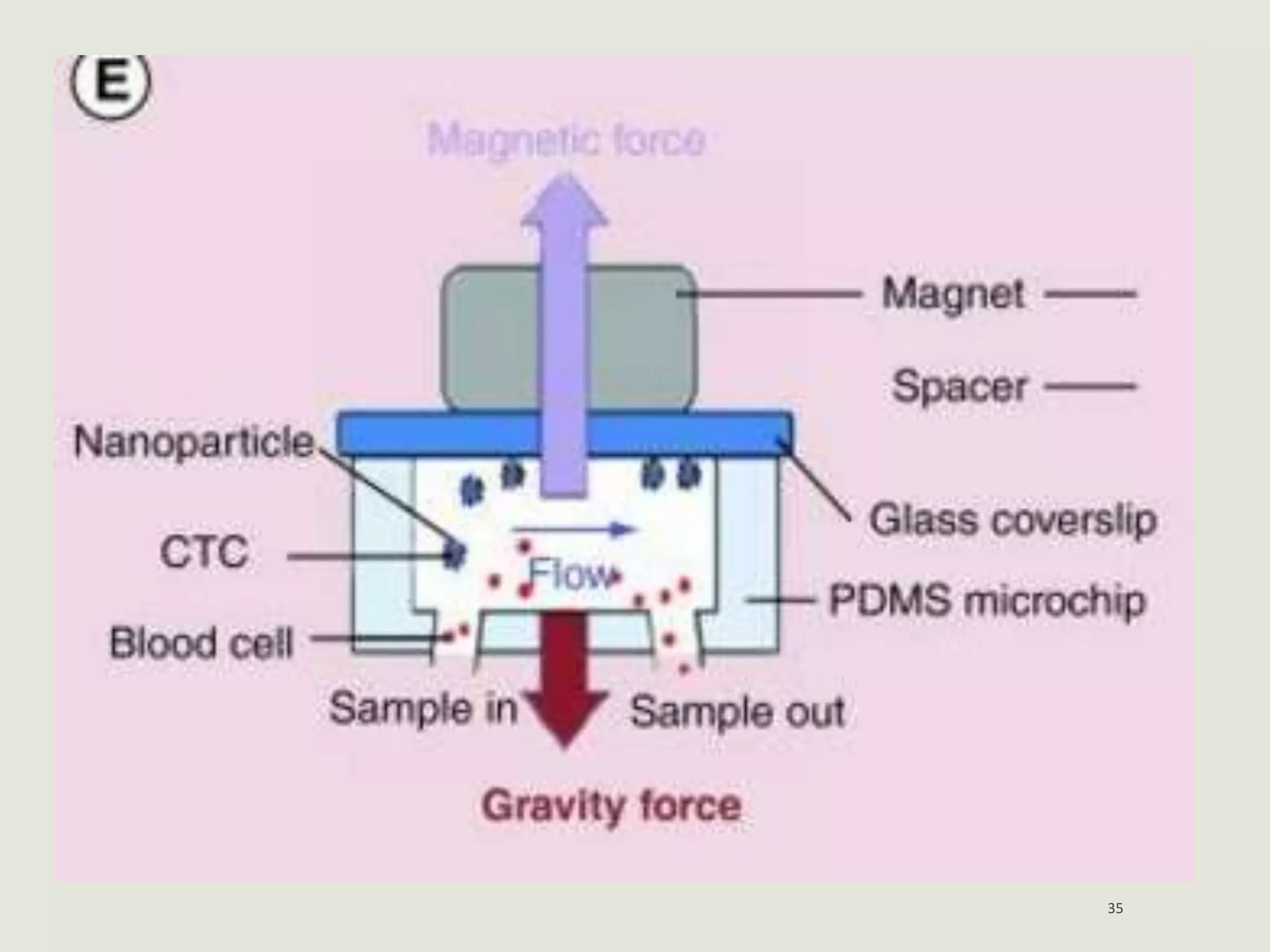 Nanotechnology in diagnostic Pathology | PPTX