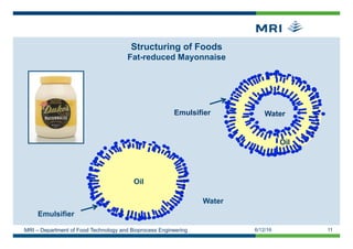 Nanotechnology in the Food Sector_2015 | PDF