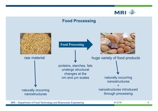 Nanotechnology in the Food Sector_2015 | PDF