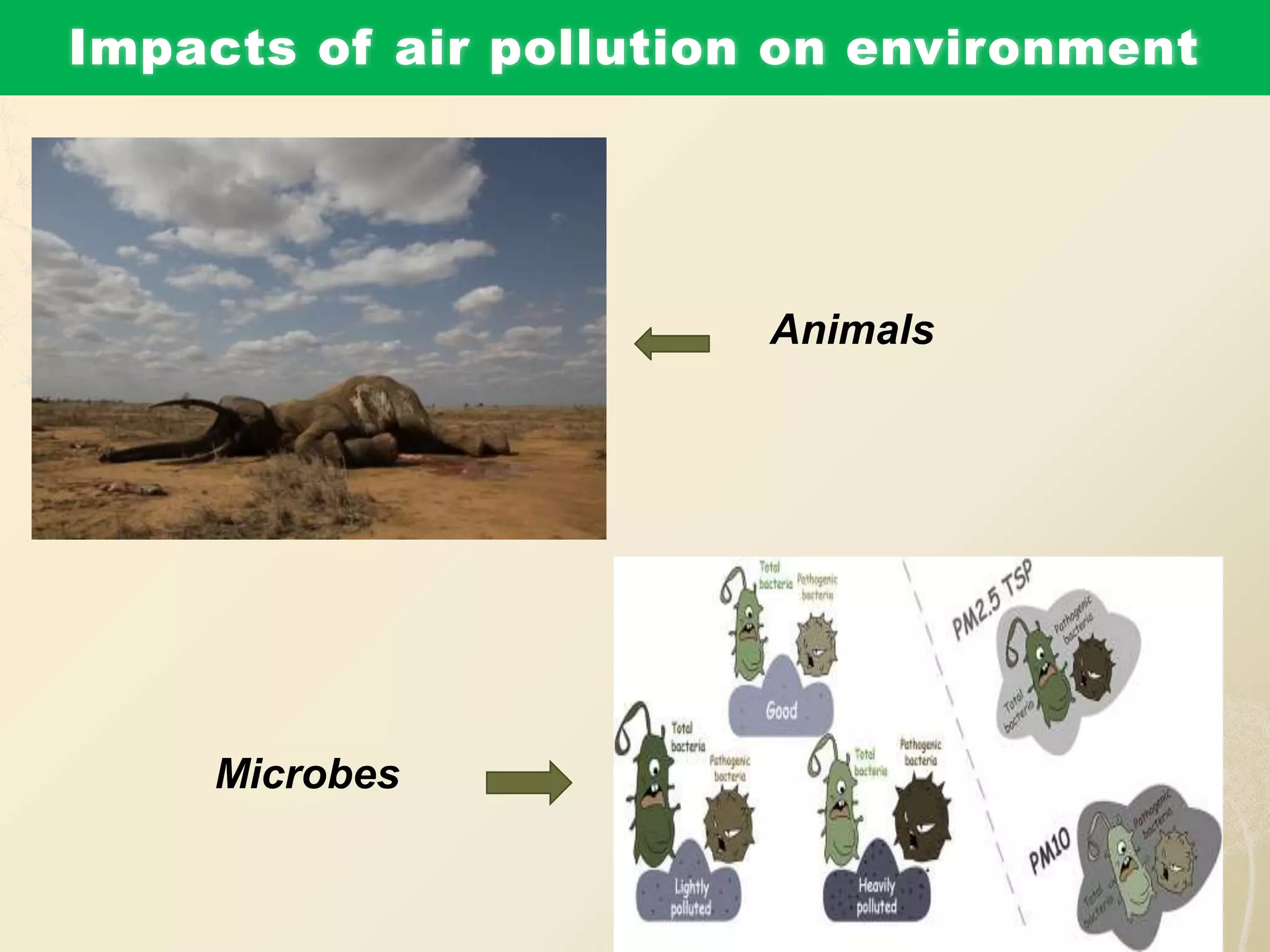 Nanotechnology to control air pollution | PPT