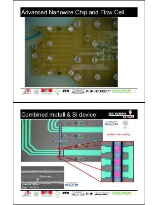 NanowireSensor | PDF