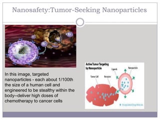 Nanotoxicology and Nanosafety | PPTX