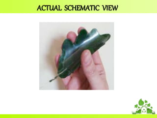 Nano tree | PPTX | Science