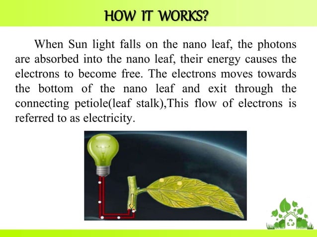 Nano tree | PPT
