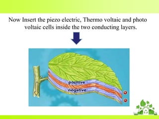 Nano tree | PPTX | Science